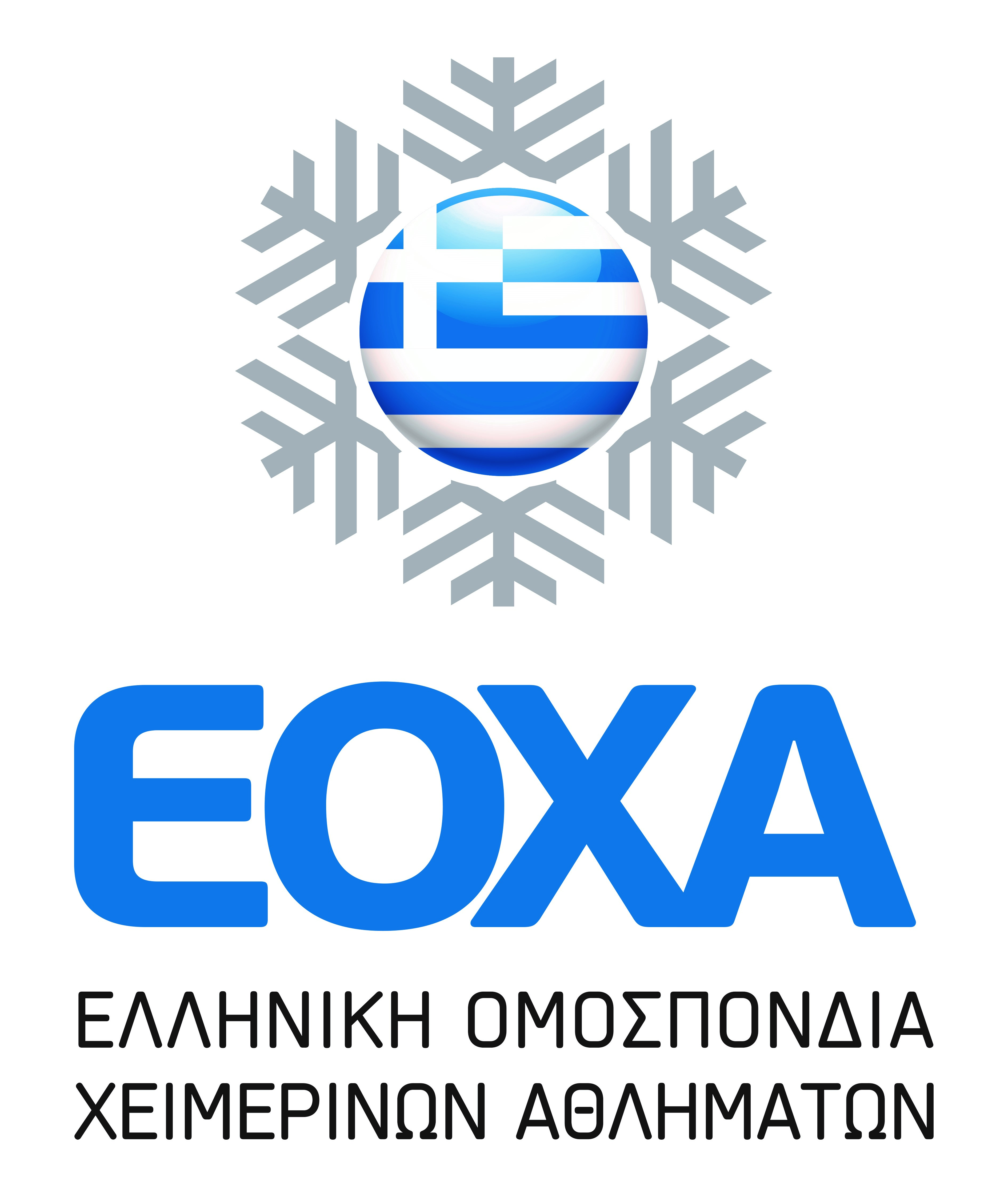 Η Audi χορηγός της Ελληνικής Ομοσπονδίας Χειμερινών Αθλημάτων (ΕΟΧΑ ...